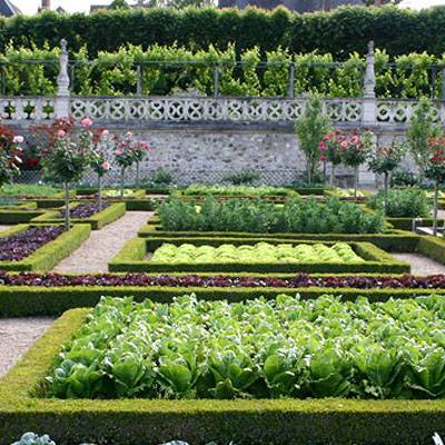 Иконка канала Личный огород