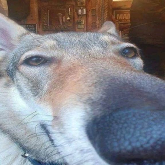 Иконка канала GIDman