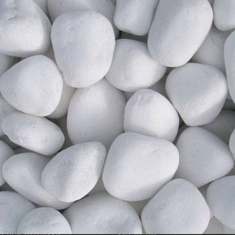 Иконка канала Строительство и животноводство