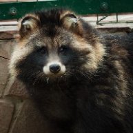 Иконка канала Сормовский Парк