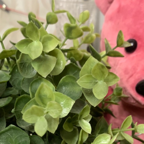 Иконка канала Живем на пенсии в России.