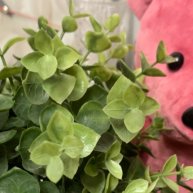 Иконка канала Живем на пенсии в России.