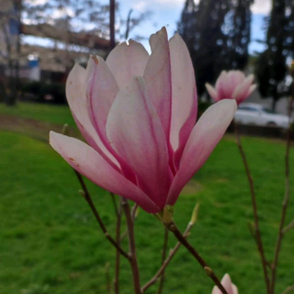 Иконка канала Лирика