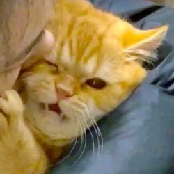 Иконка канала Найди себя.