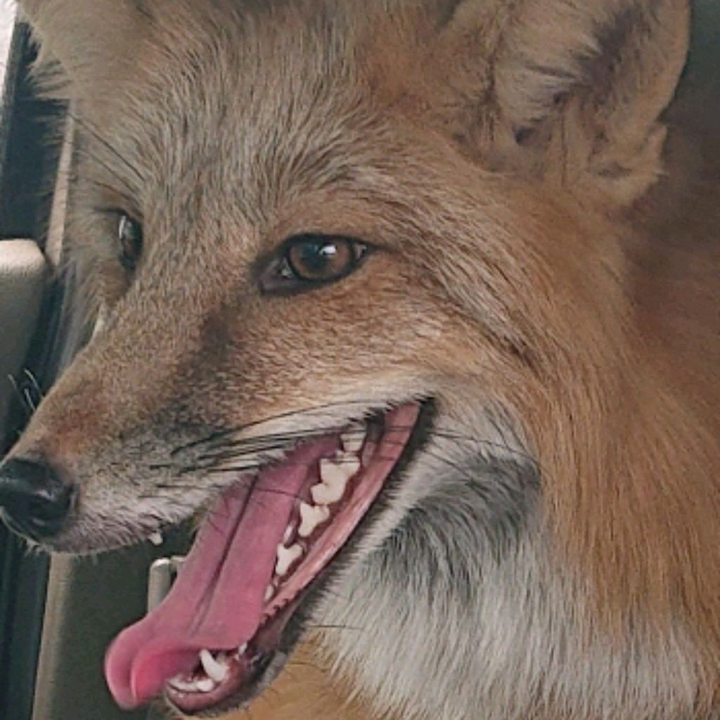 Иконка канала MarinaLisina