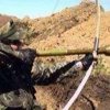 Иконка канала Денис Марков