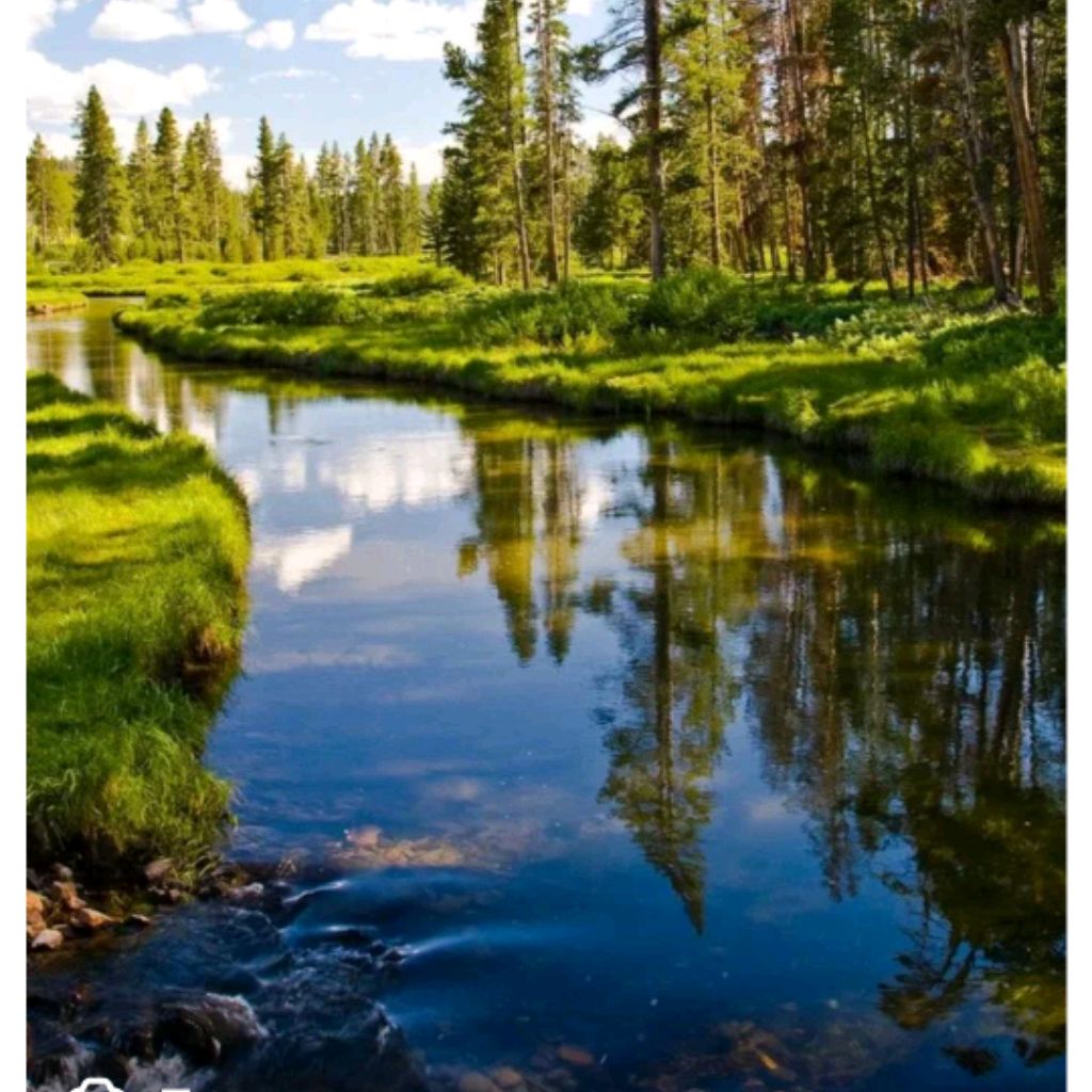 Иконка канала Природа