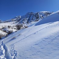 Иконка канала Шакула Фёдор wildlife production