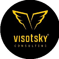Иконка канала Visotsky Consulting