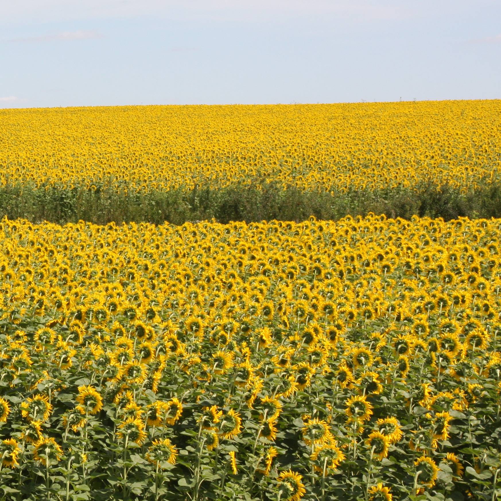 Иконка канала Gennady