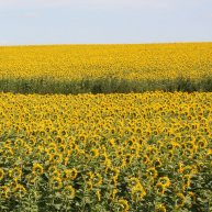 Иконка канала Gennady