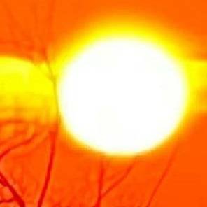 Иконка канала РЕЦЕПТЫ