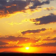 Иконка канала ПРИРОДА в главной роли!