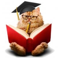 Иконка канала МБУ "Ловозерская межпоселенческая библиотека"