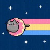 Иконка канала Дневная доза "котиков"