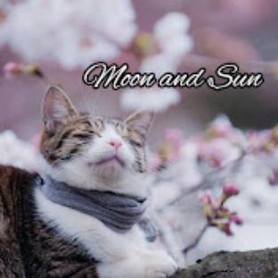 Иконка канала Moon and Sun