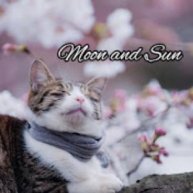 Иконка канала Moon and Sun