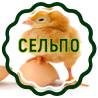 Иконка канала СЕЛЬПО