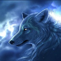 Иконка канала TM VOLK