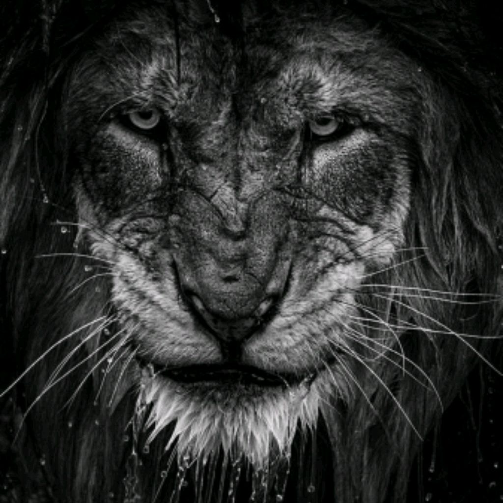 Иконка канала Антоха