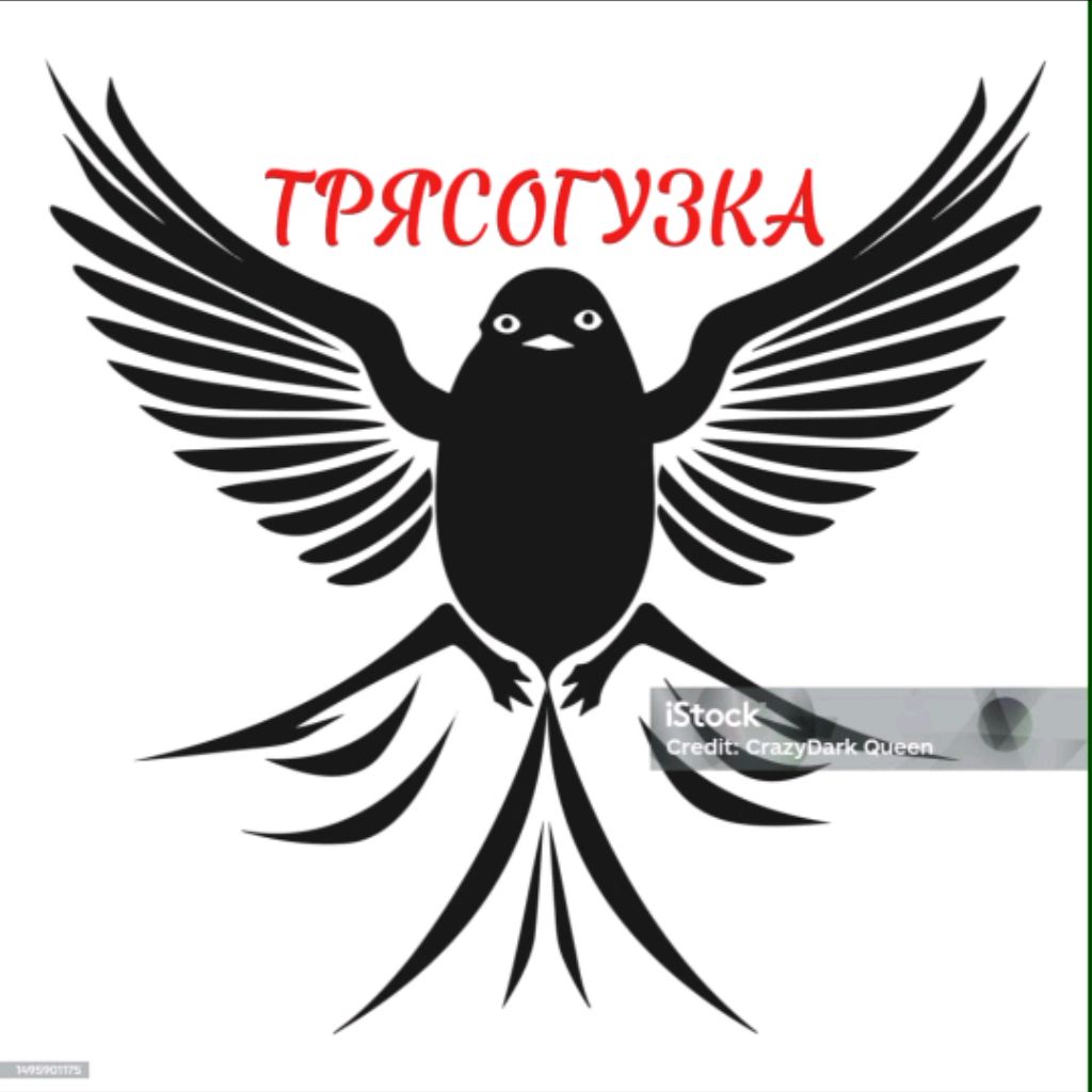 Иконка канала Трясогузка