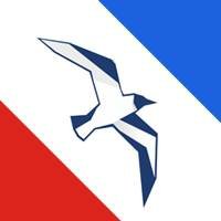 Иконка канала svirinfo_tv