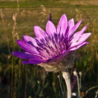 Иконка канала Евгений Коваль