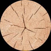 Иконка канала Главлес