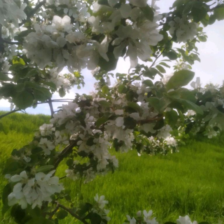 Иконка канала Спиннинг рядом