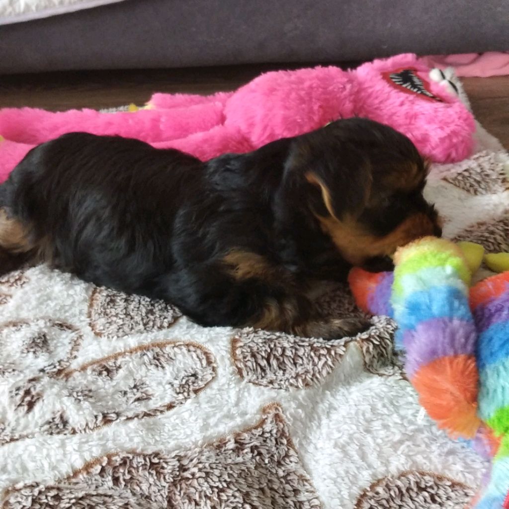 Иконка канала Ульяна3000