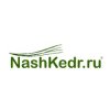 Иконка канала nashkedr.ru