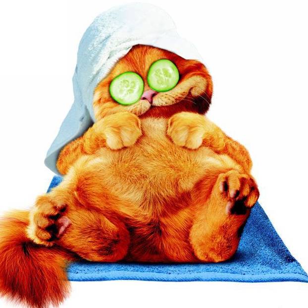 Иконка канала Володин Александр