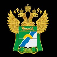 Иконка канала Сибирское таможенное управление