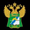 Иконка канала Сибирское таможенное управление
