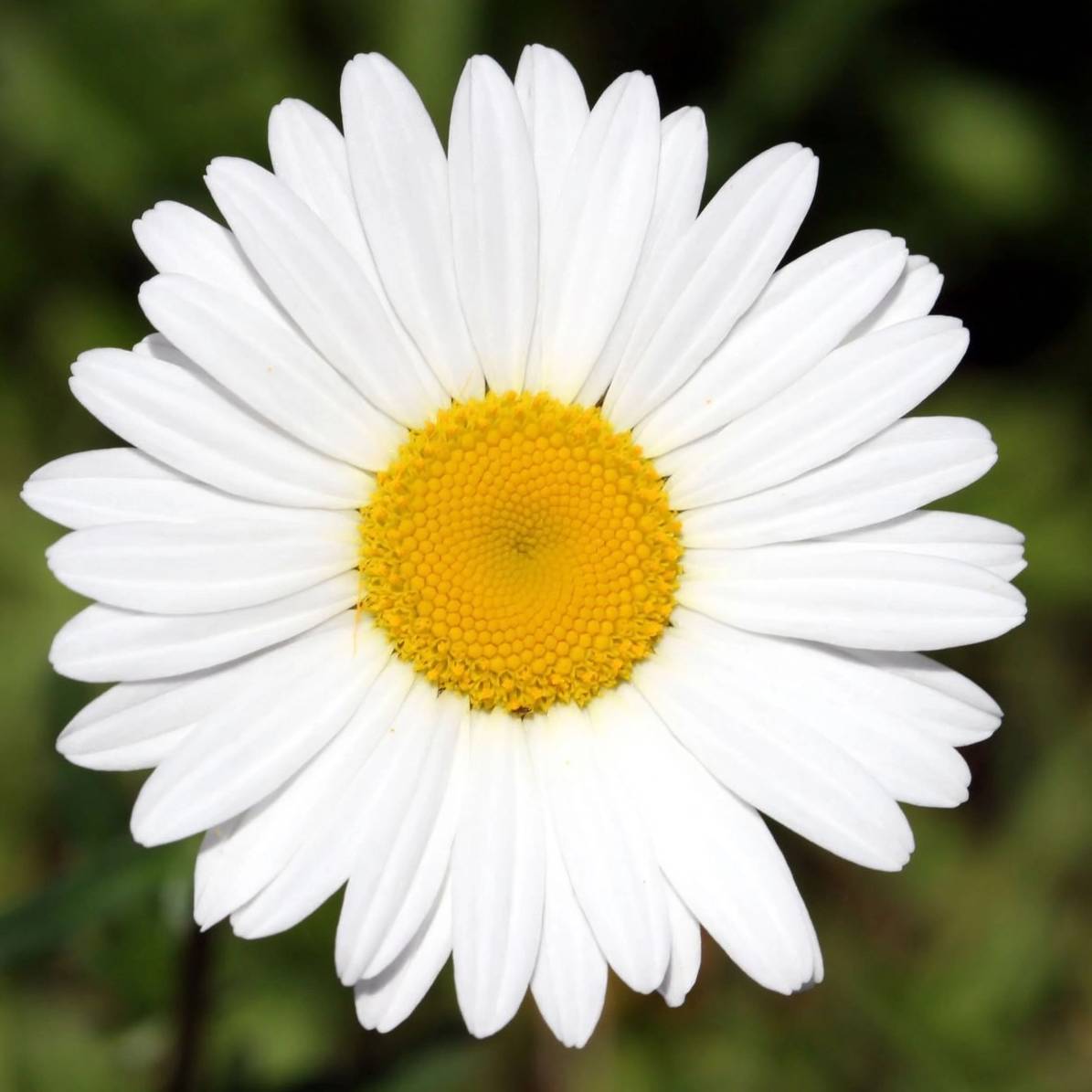 Иконка канала Стоп кадр.Бавлы