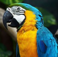 Иконка канала Что мне нравится