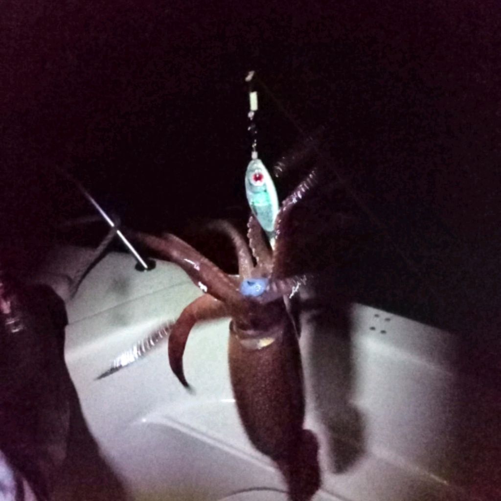 Иконка канала https://po-ru1.click/smart/7UiXg6Lj7A1axn