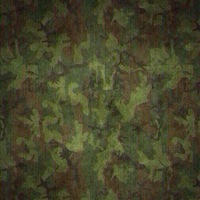 Иконка канала Рамис Зарипов