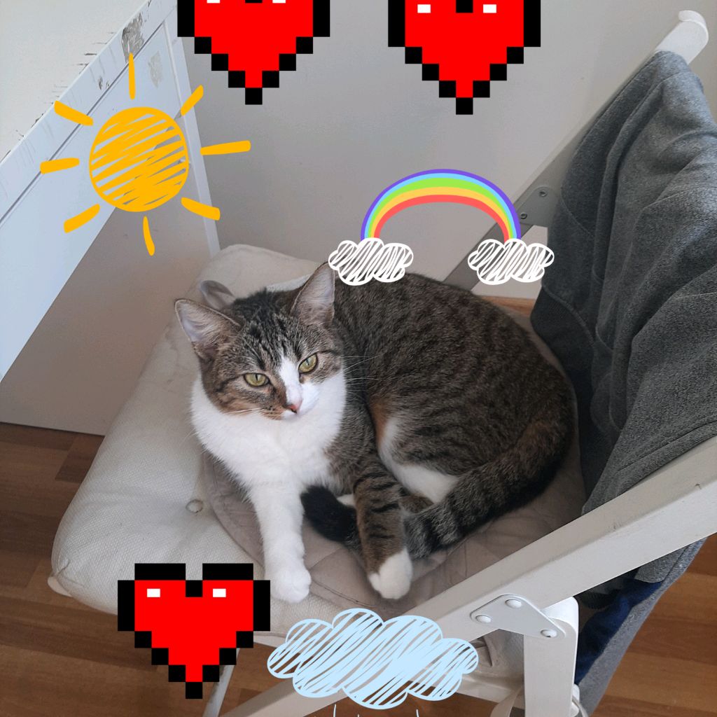 Иконка канала Малосота