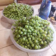 Иконка канала САМОГОН Домашний Дистиллят