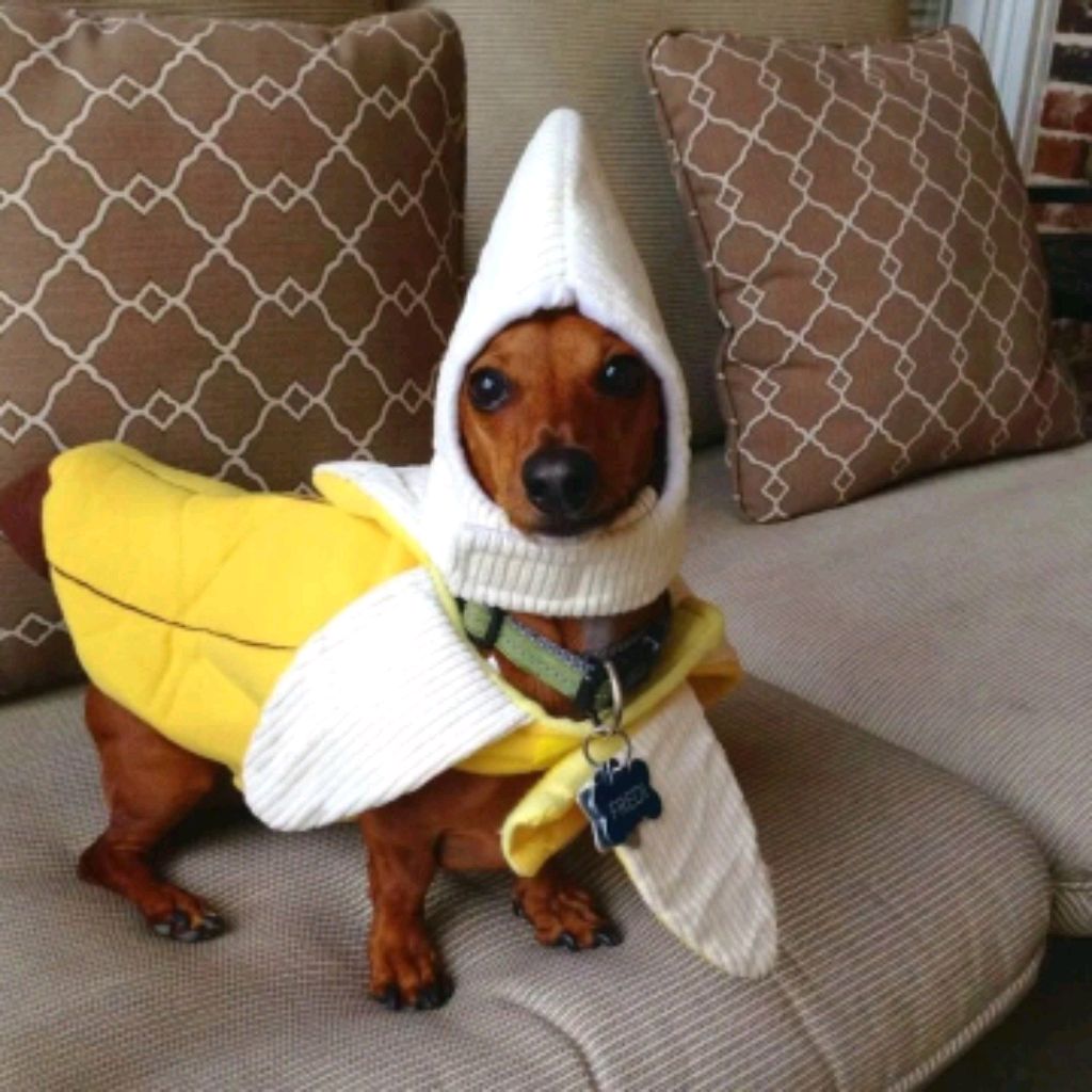 Иконка канала Smechnulik