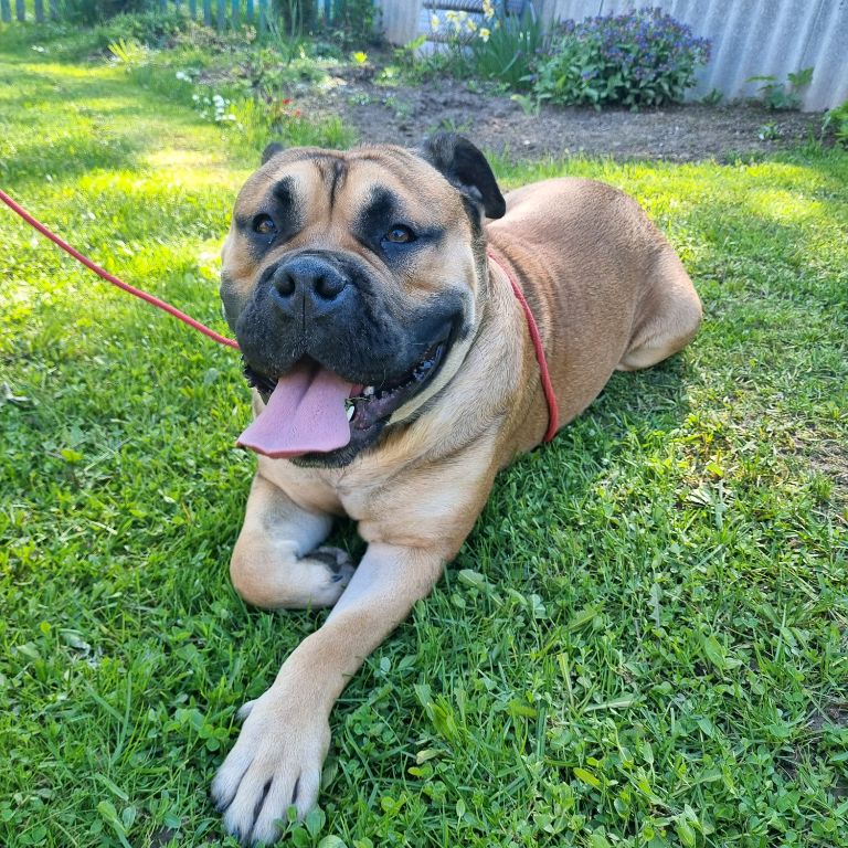 Иконка канала Kadebo_tyson