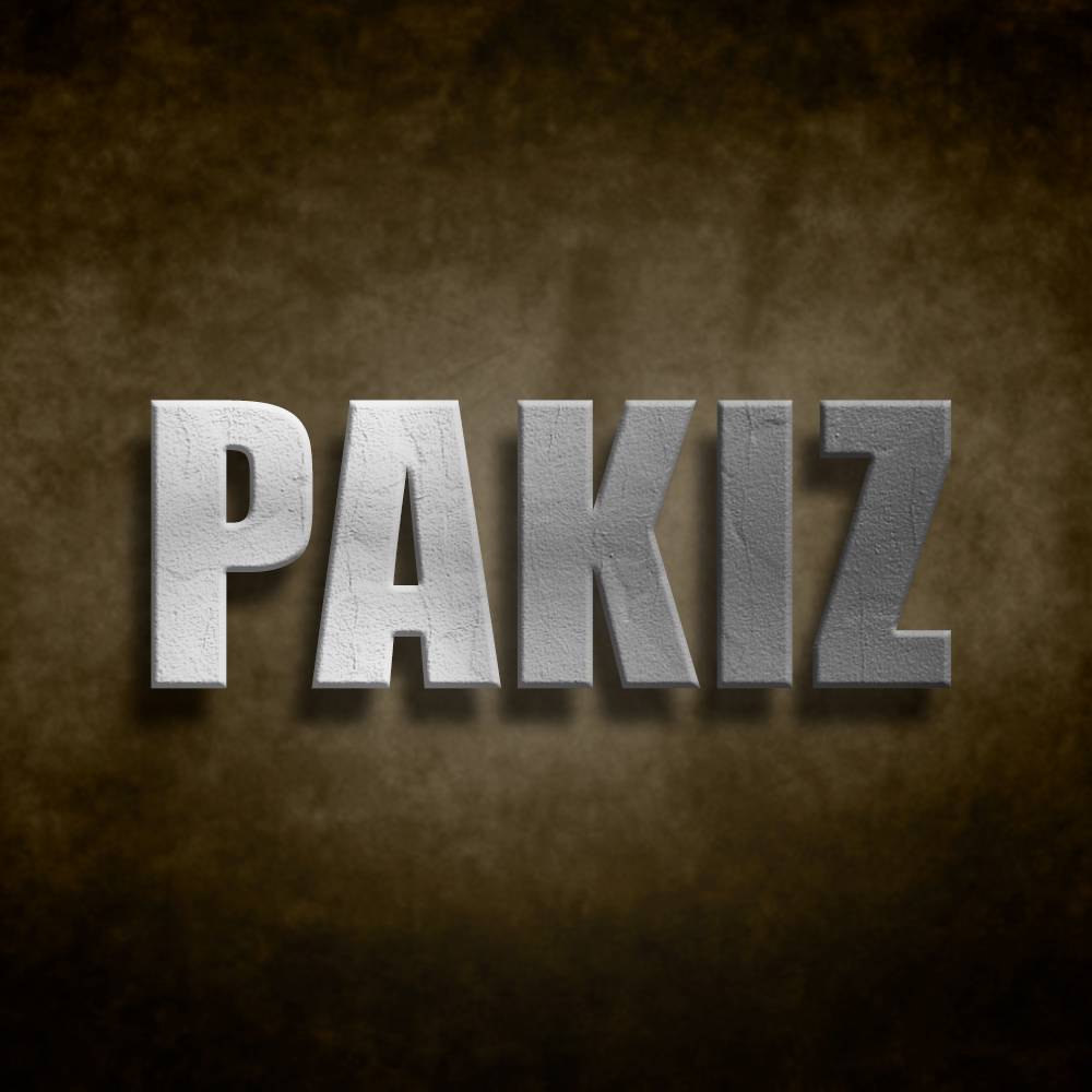 Иконка канала pakiz