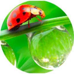 Иконка канала БИОЗАН