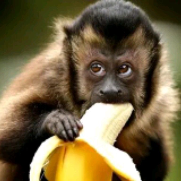 Иконка канала hrуundik7