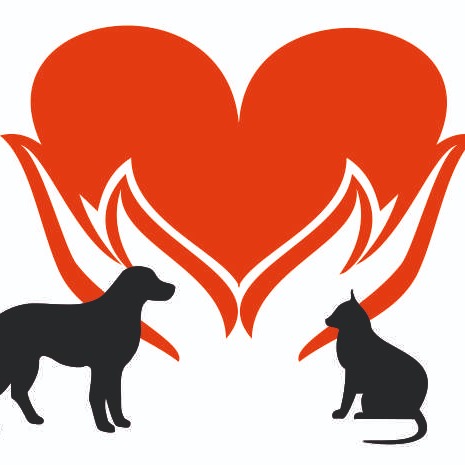 Иконка канала dobroeserdce68