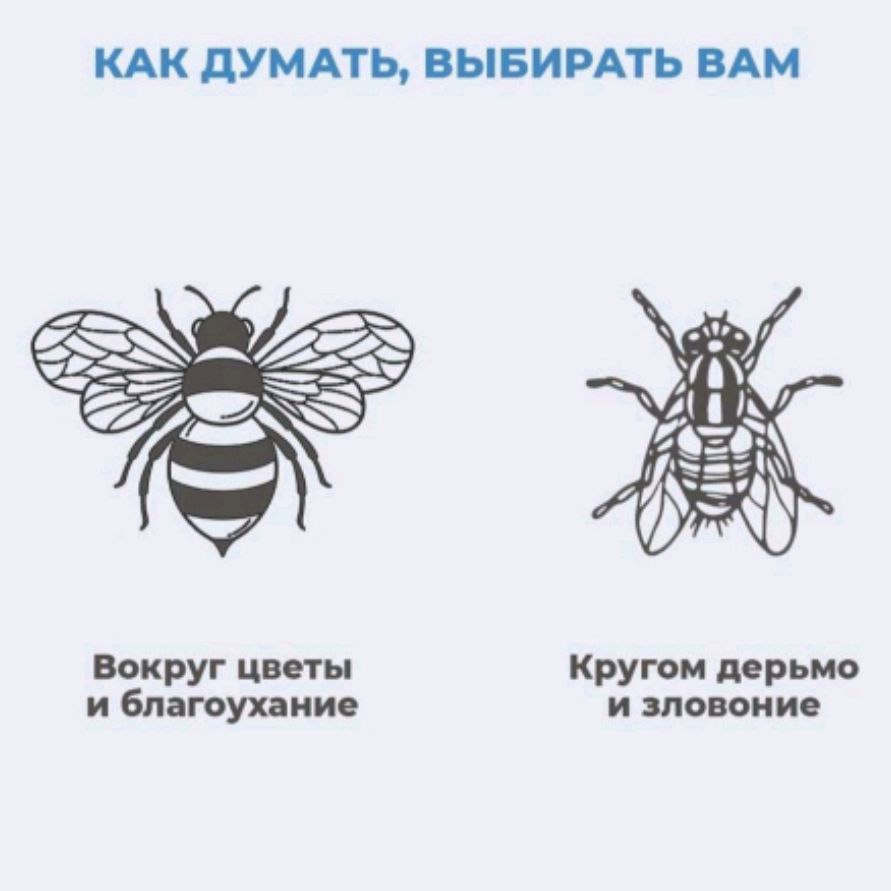 Иконка канала ДНЕВНИК ТРЕНЕРА.💪😉