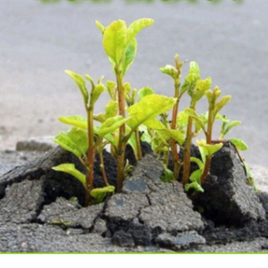 Иконка канала Всё могу с Богом