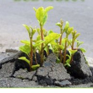 Иконка канала Всё могу с Богом