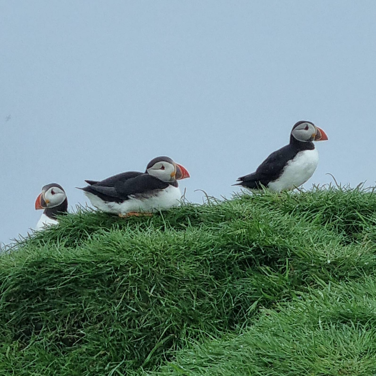 Иконка канала Путешествия с бармалейками